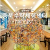 청주 충북수학체험관 실내 아이와 가볼만한 수학놀이터 네이버 블로그